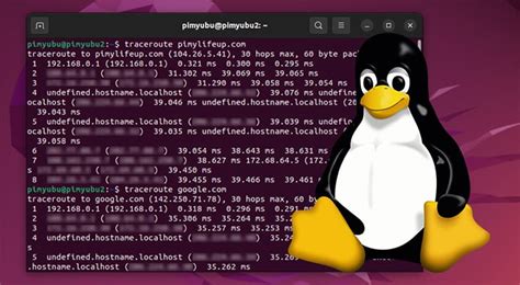 How To Run A Traceroute On Linux Pi My Life Up