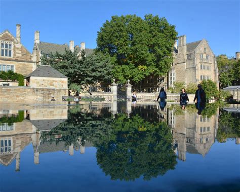 The Exhilaration Of Yale Classes Stress Free At Yale Alumni College Pupn