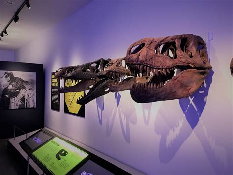 526 Best Fossil Pic Images On Pholder Dinosaurs Pics And Fossilid
