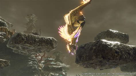 Photos Of Narwa First Time Doing This Quest Rmonsterhunter