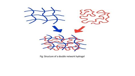 Tough Double Network Hydrogel And Its Applications Ppt Free Download