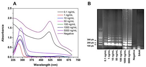 Development And Application Of An Spr Nanobiosensor Based On Aunps For The Detection Of Sars Cov