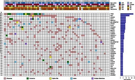 Mutation Plot Summary Of 60 Oral Tongue Squamous Cell Carcinoma