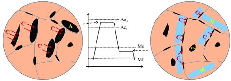 Schematic Diagrams Of Microstructure Evolution With Residual Austenite