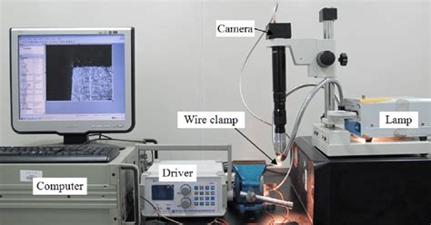 Experimental Setup To Measure The Amplification Ratio Download Scientific Diagram