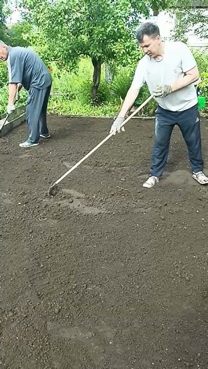 арбайтен ландшафт дача цветы сад курсыландшафтногодизайна садовник Garden огород газон