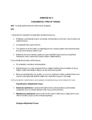 Anatomy Physiology Nervous System EXERCISE NO 7 NERVOUS SYSTEM GIO To Study The