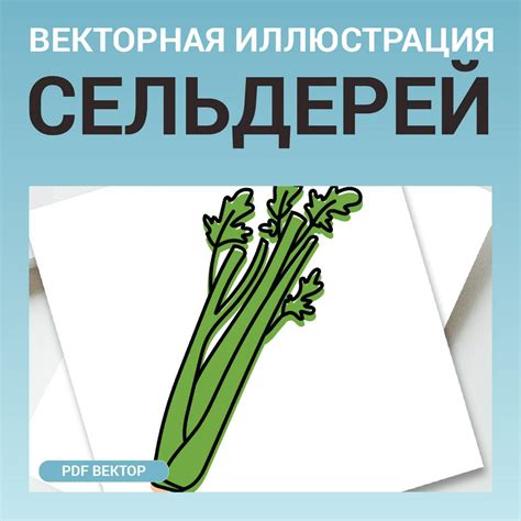 Сельдерей стебель в стиле дудл без фона Векторная картинка Pdf Овощ в