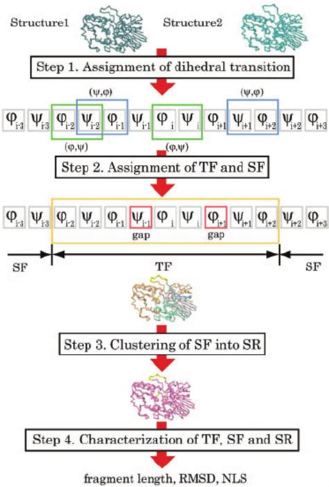 Schematic Representation Of Dta Procedure The ω Transition Is Not Download Scientific Diagram