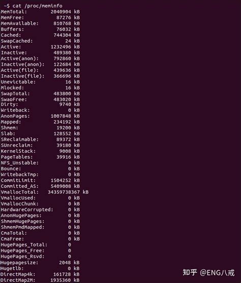 Linux 查看内存使用情况的几种方法 知乎
