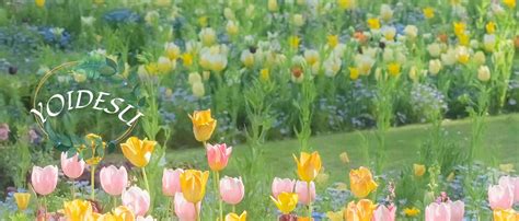 Replacement Usb Receiver For M590 M720 M570 For K230 K270 K375s K400plus K780 2 4