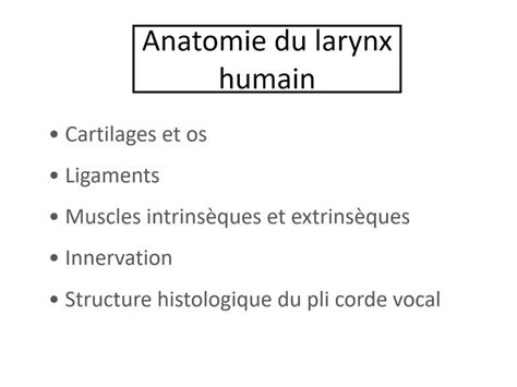 Anatomie Du Larynx Daniel Brasnu 2021 Canal U