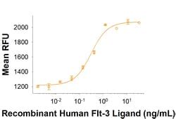 R D Systems Recombinant Human Flt 3 Ligand FLT3L E Coli Protein 100 Fisher Scientific