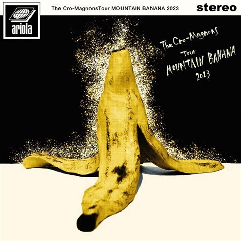 【新品】ザ・クロマニヨンズ Mountain Banana 2023 レコード 邦楽