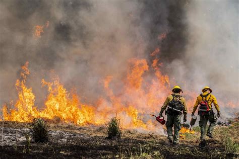 Fire Copter Crash Miraculous Survival Of The Crew Firefighter Close