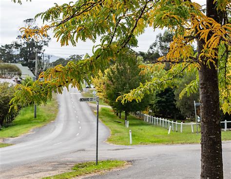 Wyndham Progress Association Wyndham Nsw Australia