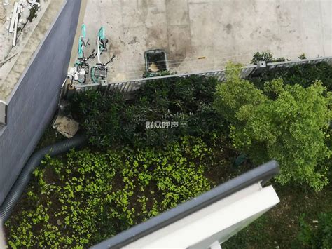 饭店油烟扰民 群众呼声四川问政 四川省网上群众工作平台 温江区委书记