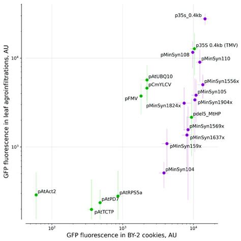 Comparison Of Egfp Expression Within Various Transcription Units