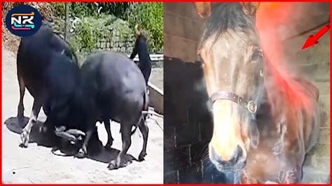 Incredible Moments Caught On Cctv Camera Youtube