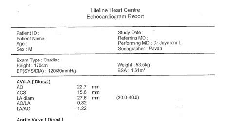 Kc Personal Thoughs Echocardiogram Report