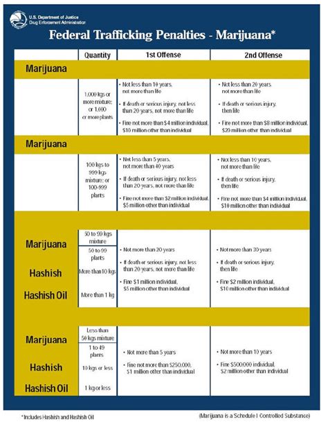 Free Download Program 2009 Federal Sentencing Guidelines Manual