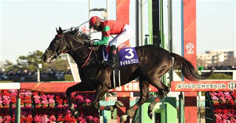【4歳以上次走報】中山大障害vのマイネルグロンは阪神スプリングjを目指す サンスポzbat
