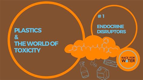 Endocrine Disruptors Endocrine Disruptors Brain And Behavior Oxford