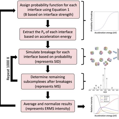 Flowchart Describing The Erms Plot Simulation Process Download