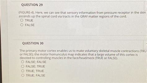 Solved In A Spinal Cord Monosynaptic Stretch Reflex Arc The