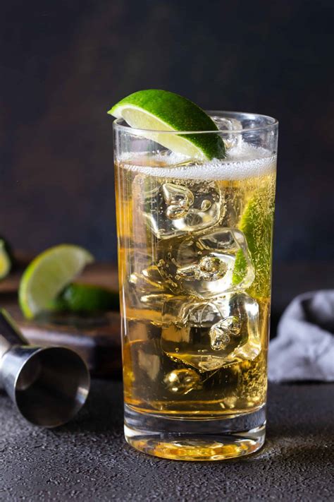15 Best Ginger Beer Cocktails For Cold Season