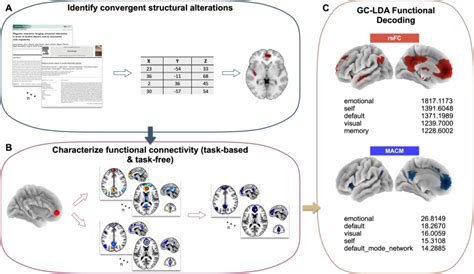 Extended Functional Connectivity Of Convergent Structural Alterations Among Individuals With