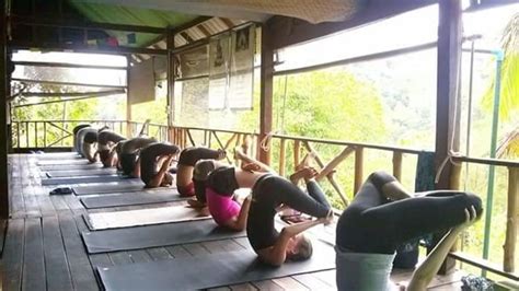 Top 12 Yoga Centers In Koh Phangan 2024 Update