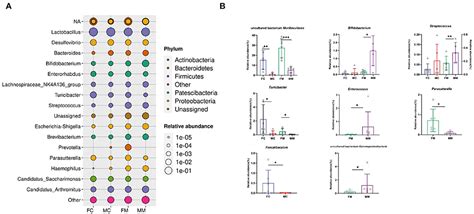 Frontiers Sex Hormones Influence The Intestinal Microbiota Composition In Mice