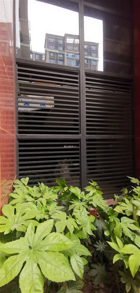 小区内酒店违规施工 群众呼声 四川省网上群众工作平台 双流区委书记