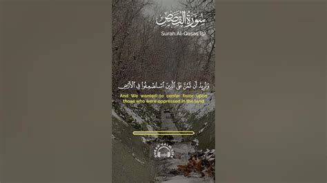 وَنُريدُ أَن نَمُنَّ عَلَى الَّذينَ استُضعِفوا فِي الأَرضِ سورة القصص