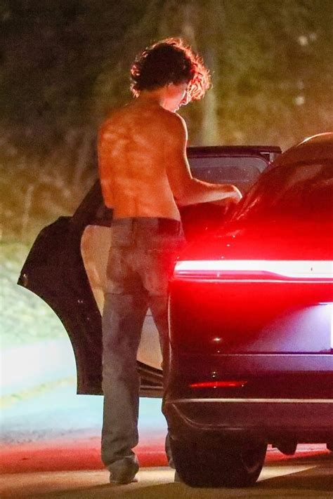 Timothée Chalamet Shows Off Abs As He Goes Shirtless In Street