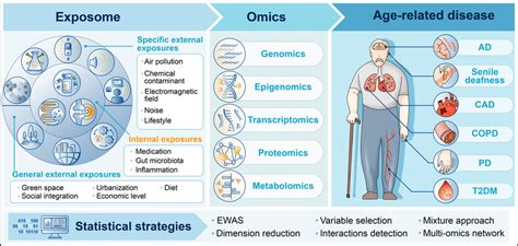 Exposomic Analytical Framework Linking Exposures To Age Related