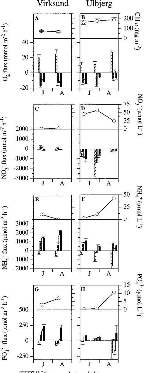 Figure 1 From Benthic Primary Production And Nutrient Cycling In