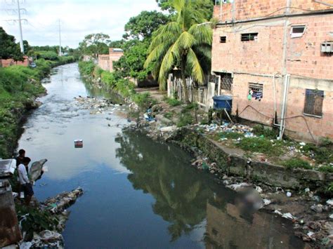 G1 No Am Corpo De Homem é Encontrado Esquartejado Dentro De Saco