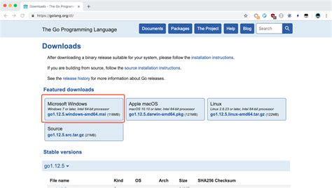 Windows上安装Golang Golang简明教程 Jiajun的技术笔记