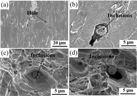 Figure 10 From Effect Of Rare Earth Elements On Microstructure And Tensile Behavior Of Nb