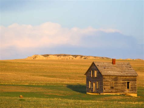 Mahlstedt Ranch Montana Moments By Mahlstedt Ranch — Abundant Montana