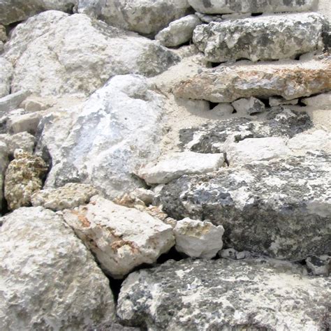 Florida Limestone Boulder Landscaping And Patio Boulders Tampa Stone