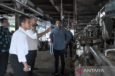 Pemprov Sumbar Susun Pergub Tata Niaga Gambir ANTARA News