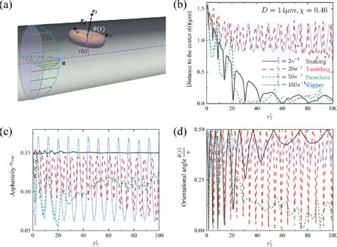Temporal Variations Of Centroid Position Asphericity And Orientation