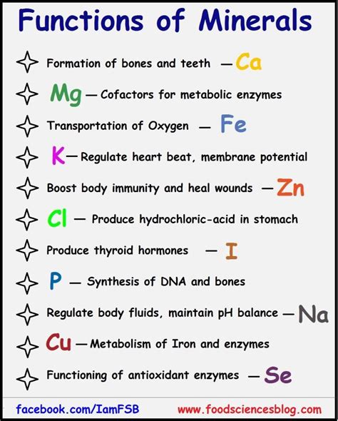 List Of Dietary Minerals And Their Functions