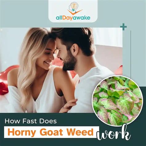 How Fast Does Horny Goat Weed Work
