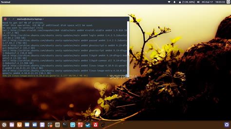 Canonical Outs Major Linux Kernel Security Update For Ubuntu 1704 And