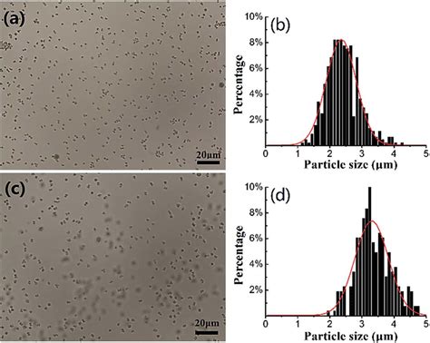 optical micrographs and particle size distributions of copolymer