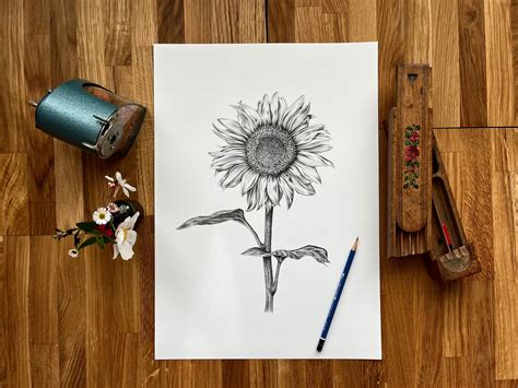 Total 101 Imagen Dibujos De Girasol A Lapiz Abzlocal Mx